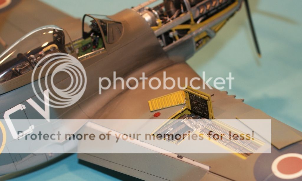 Southern Cross Mustang in Europe - Ready for Inspection - Large Scale ...