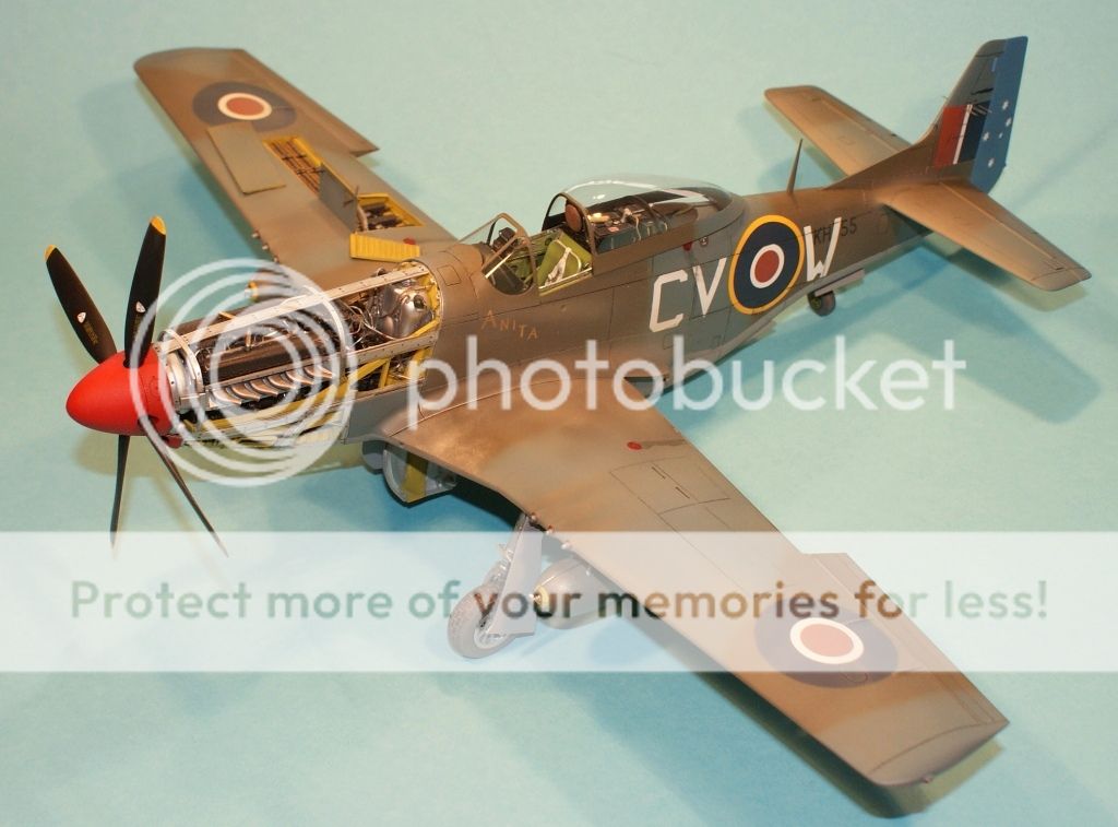 Southern Cross Mustang in Europe - Ready for Inspection - Large Scale ...