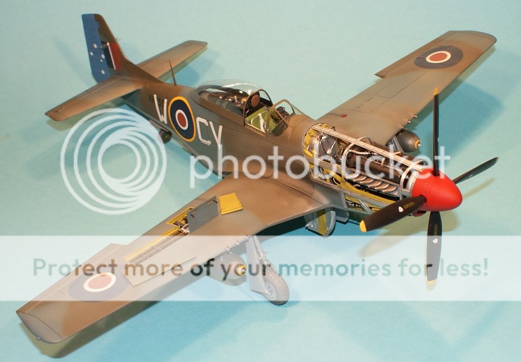 Southern Cross Mustang in Europe - Ready for Inspection - Large Scale ...