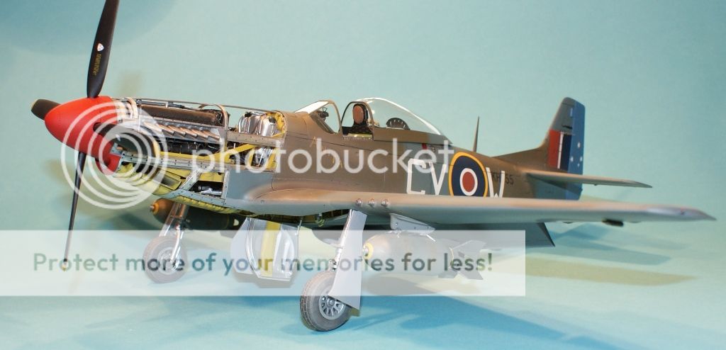 Southern Cross Mustang in Europe - Ready for Inspection - Large Scale ...